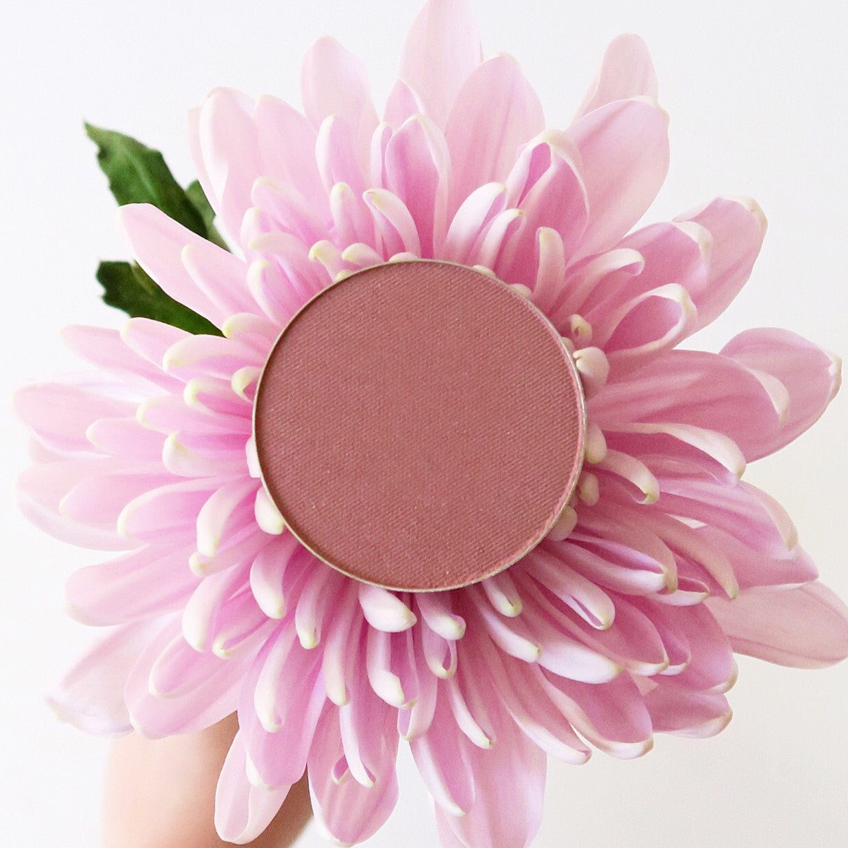 Cassandra Pressed Mineral Blush – Root
