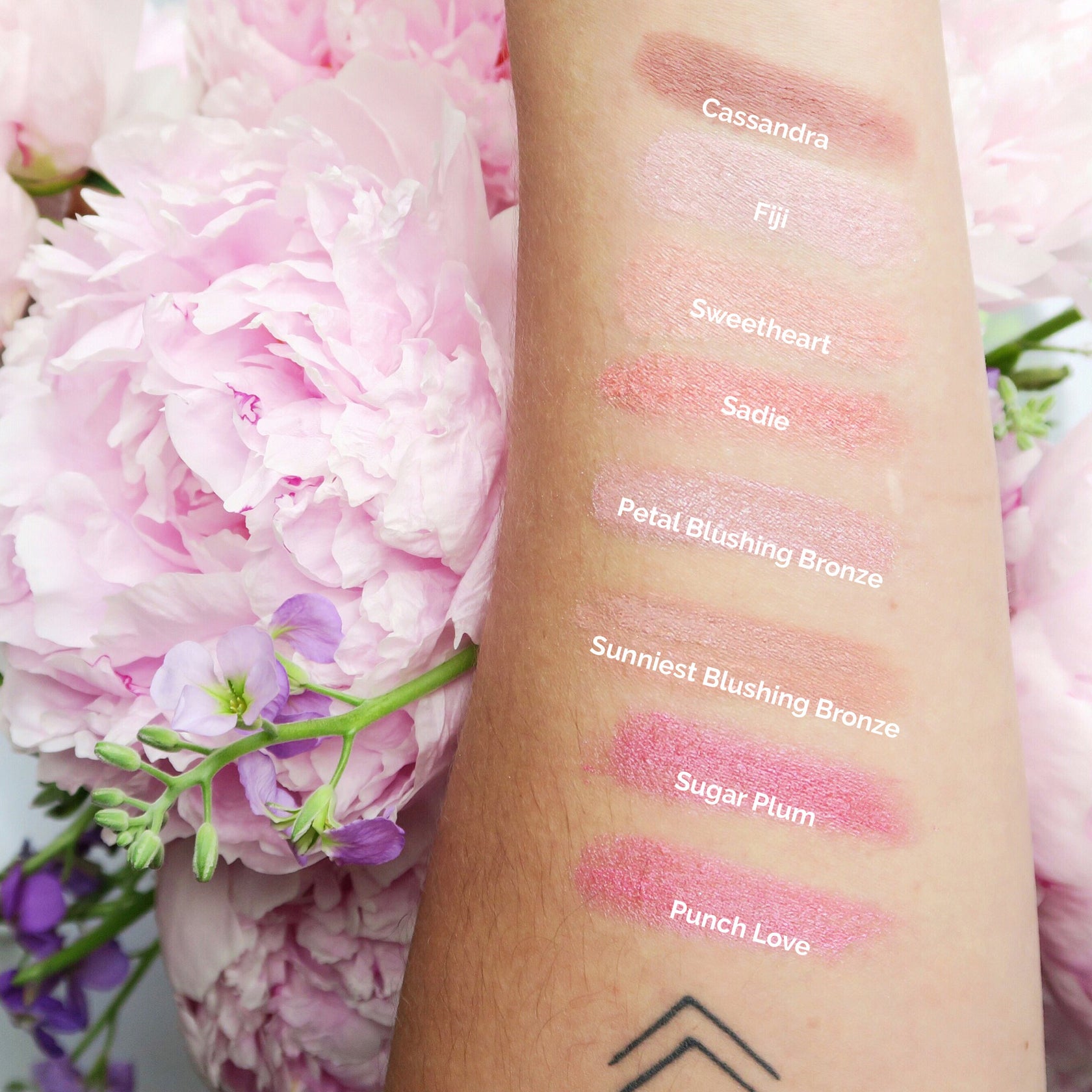 Cassandra Pressed Mineral Blush – Root